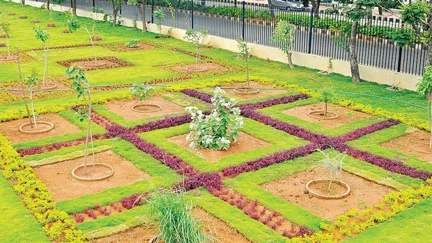 Did you know your nakshtra tree? They improve your medicinal, social ...