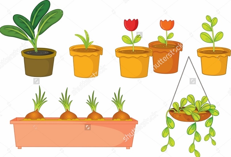 Key to a Successful Container Garden: Correct Selection of Containers ...