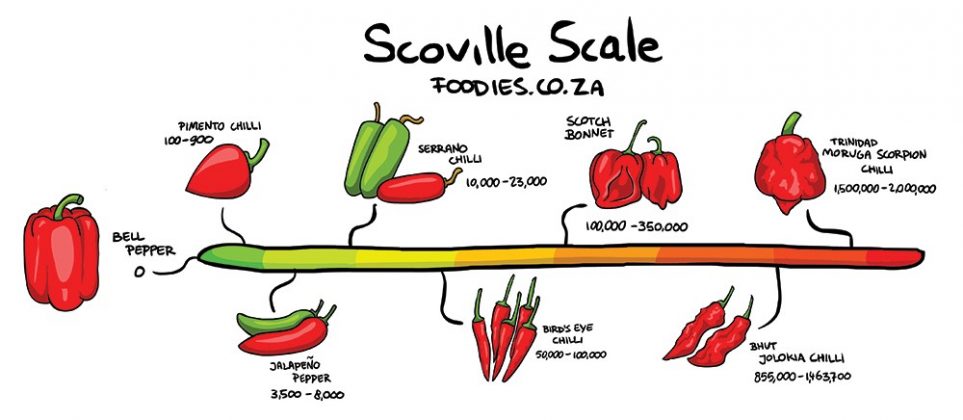 Did you know that there is a scale for measuring the spicy heat of the ...
