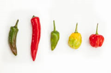 Did you know that there is a scale for measuring the spicy heat of the ...