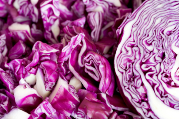 Nutritional Facts About Red Cabbage | Blog.Nurserylive.com | gardening ...