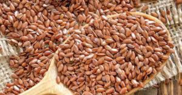 9 Healthiest Seeds to Add to Your Diet | Blog.Nurserylive.com ...