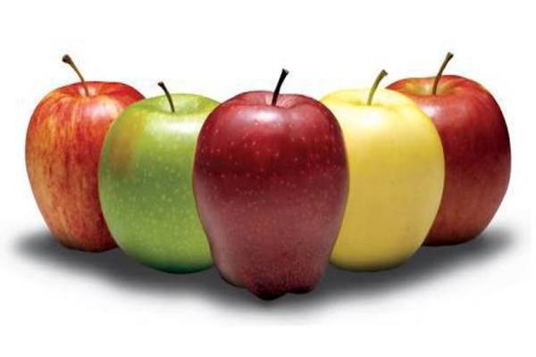 Do You Know The Common Amazing Varieties Of Apples | Blog.Nurserylive ...