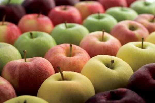 Do You Know The Common Amazing Varieties Of Apples | Blog.Nurserylive ...