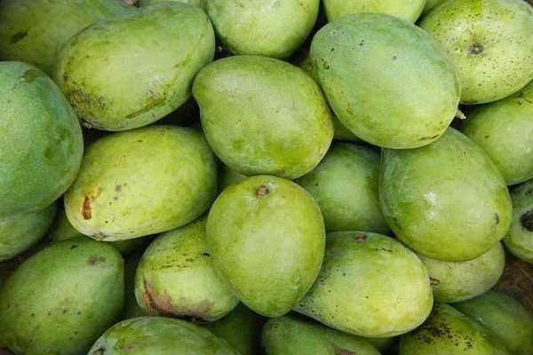 Start off the summer with the benefits of raw Mango | Blog.Nurserylive ...