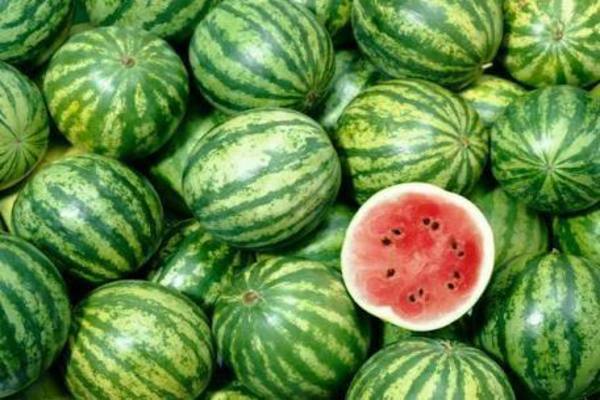 Let your taste buds depict the different color of Watermelon!! | Blog ...
